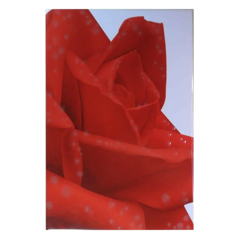 Imagen de Flor Rosa Roja en Azulejo Blanco 20x30 cm - Alcesa